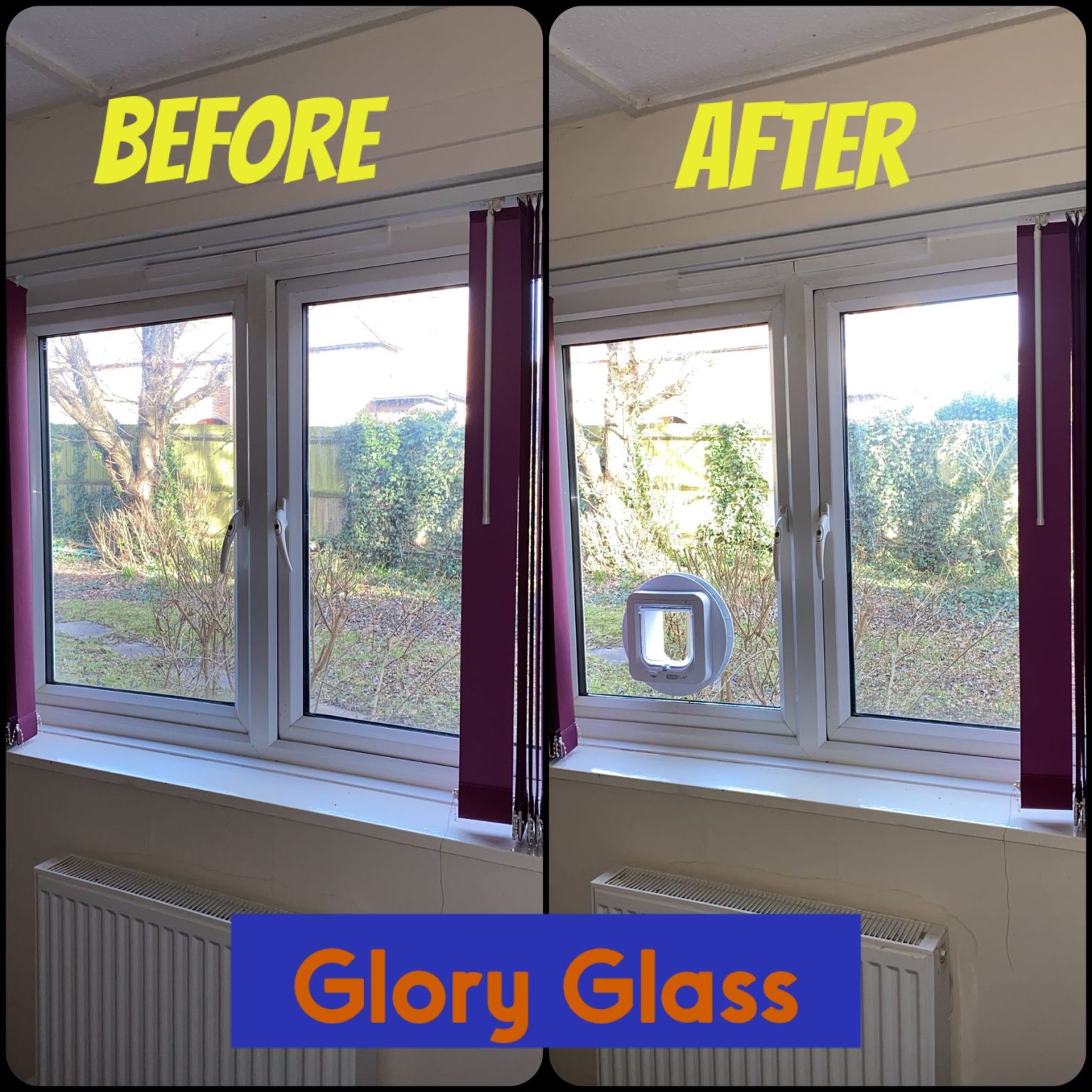 The Comprehensive Guide to Cat Flap Installation - Glory Glass